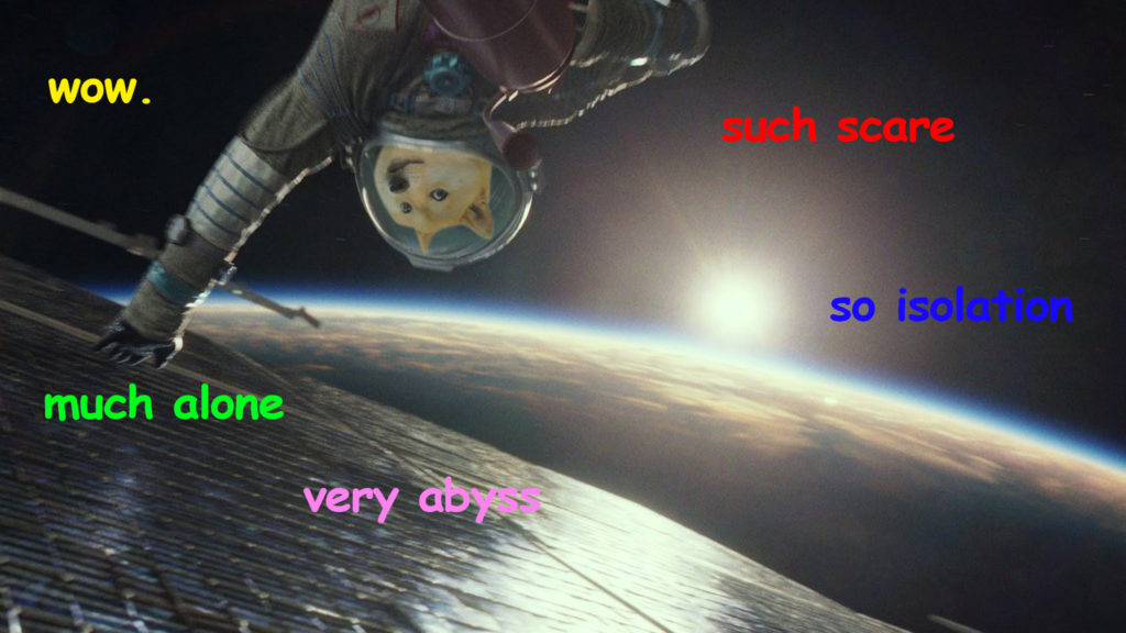61+ Doge Space