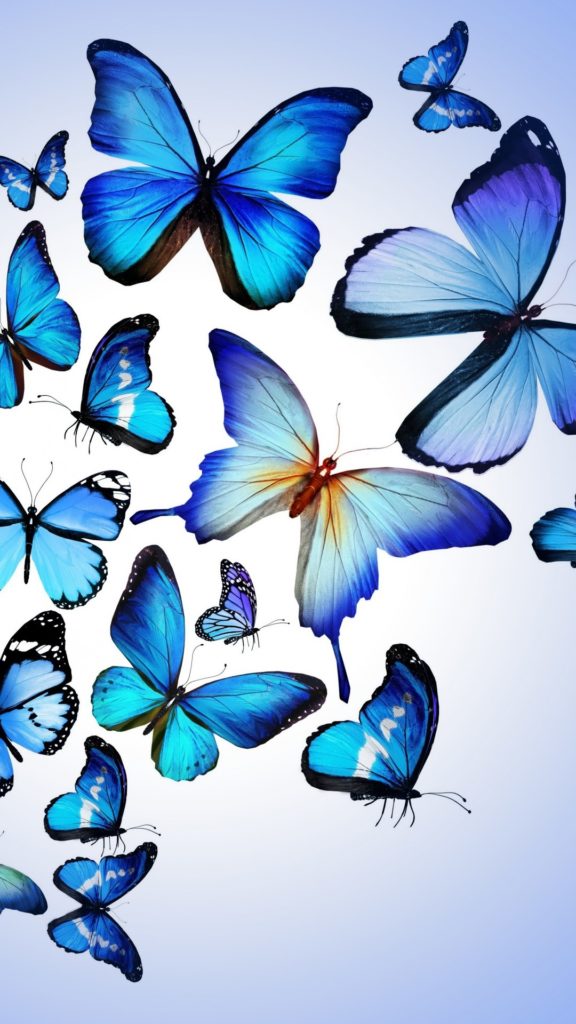49+ Butterfly Screensavers and Wallpapers
