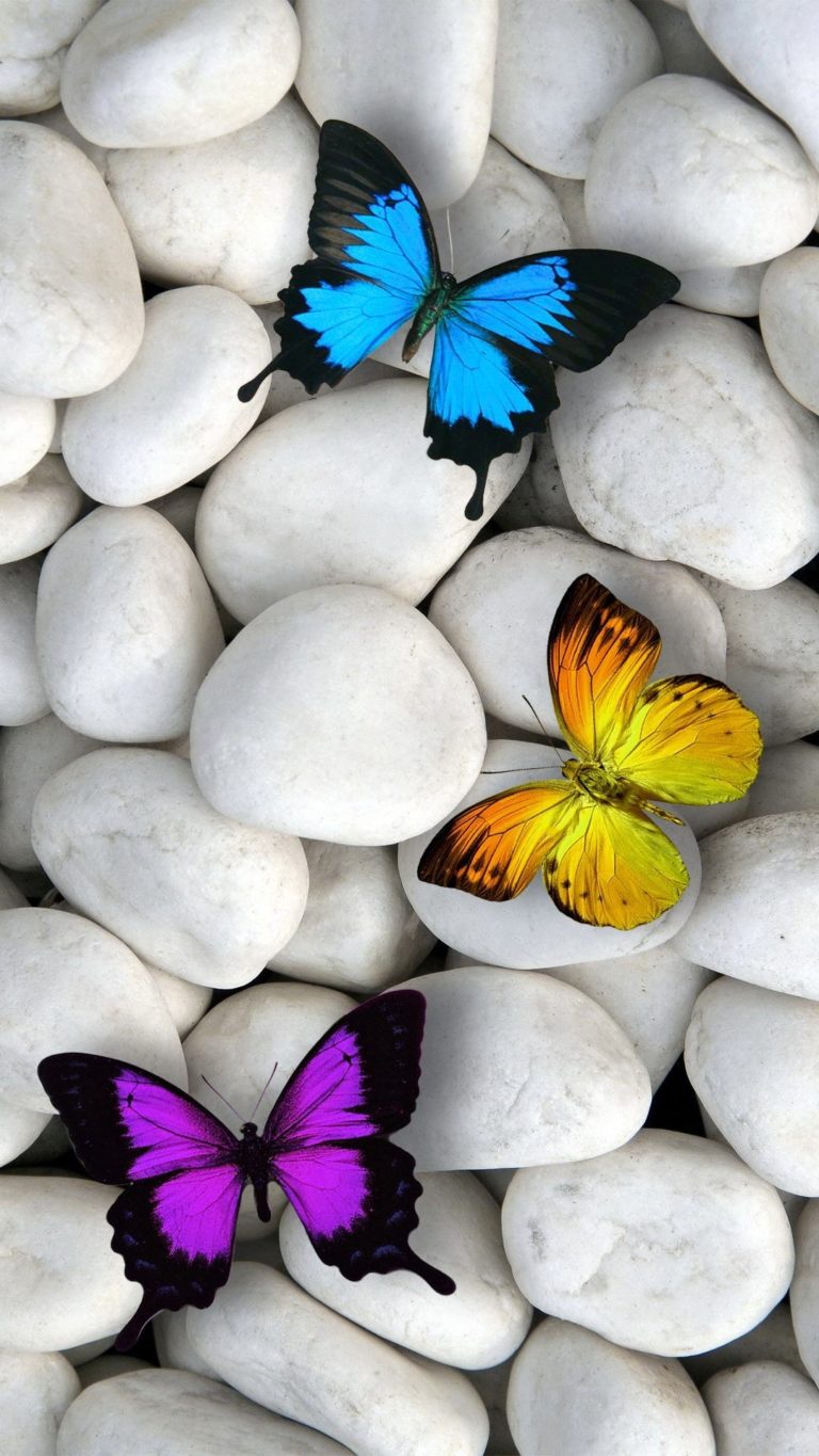 49+ Butterfly Screensavers and Wallpapers