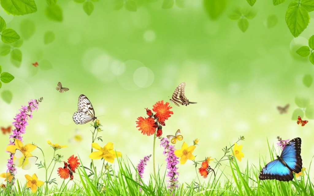 49+ Butterfly Screensavers and Wallpapers