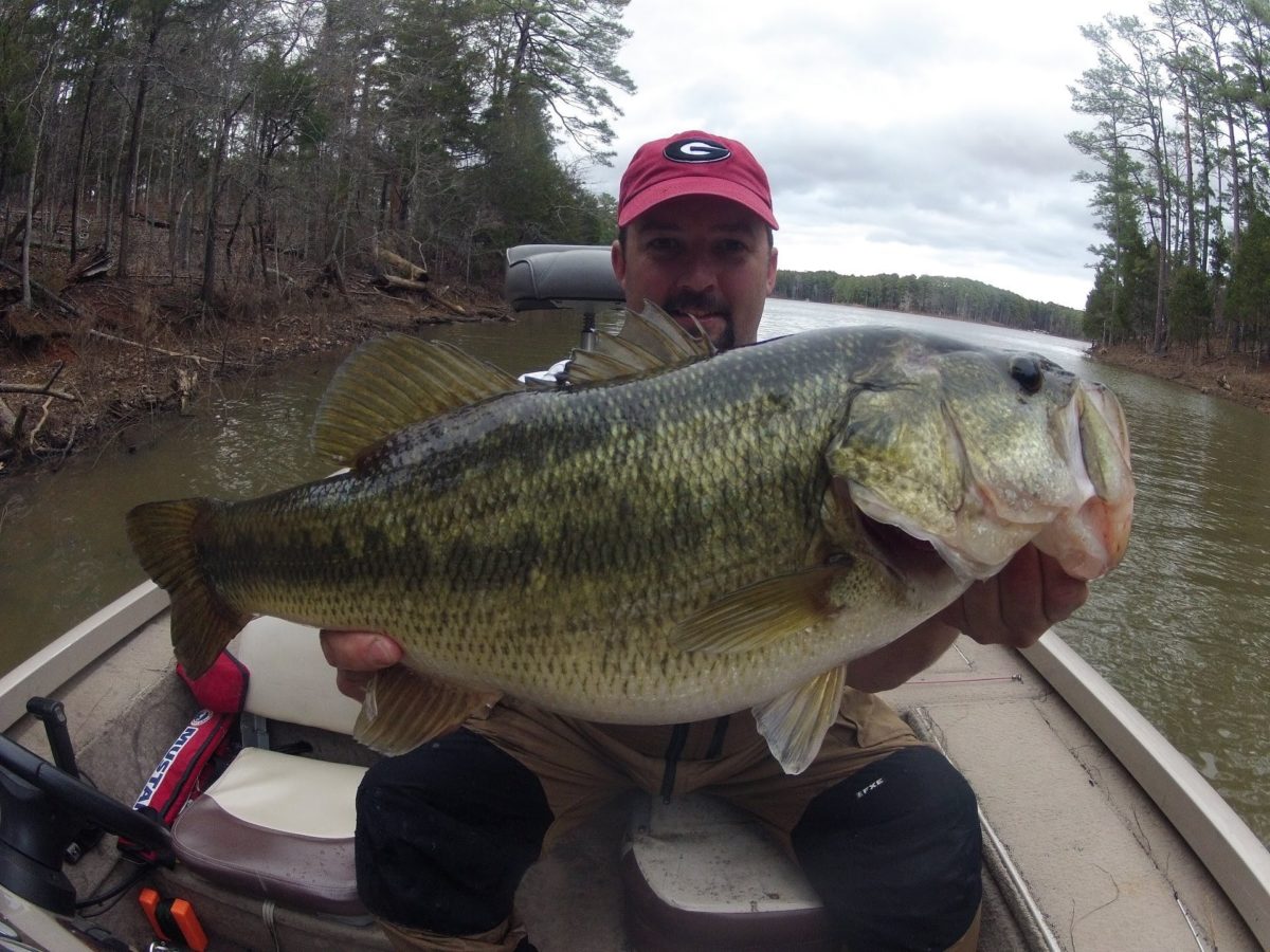 39+ Largemouth Bass Wallpaper for Desktop