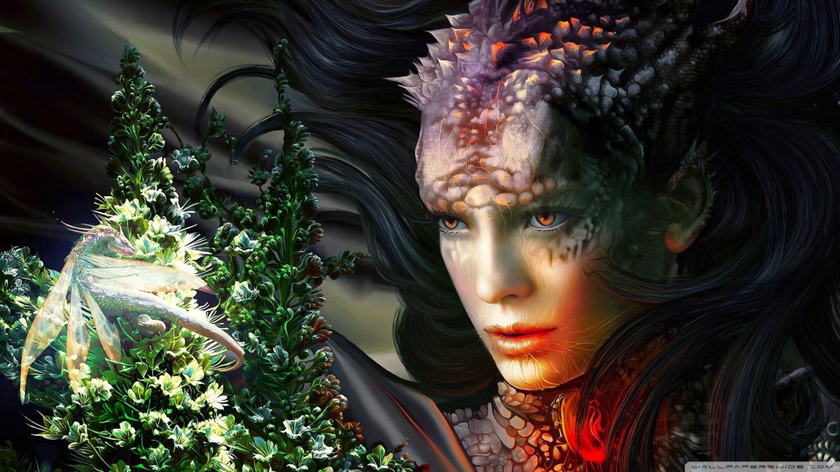 39+ DragonfLy Screensavers and Wallpaper
