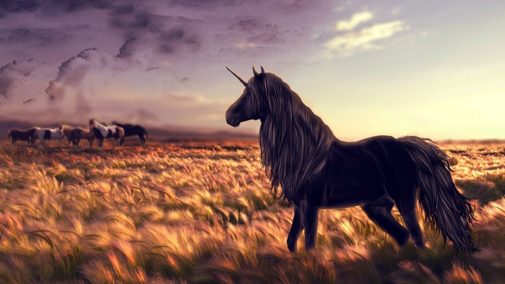 50+ Horse Screensavers and Wallpaper
