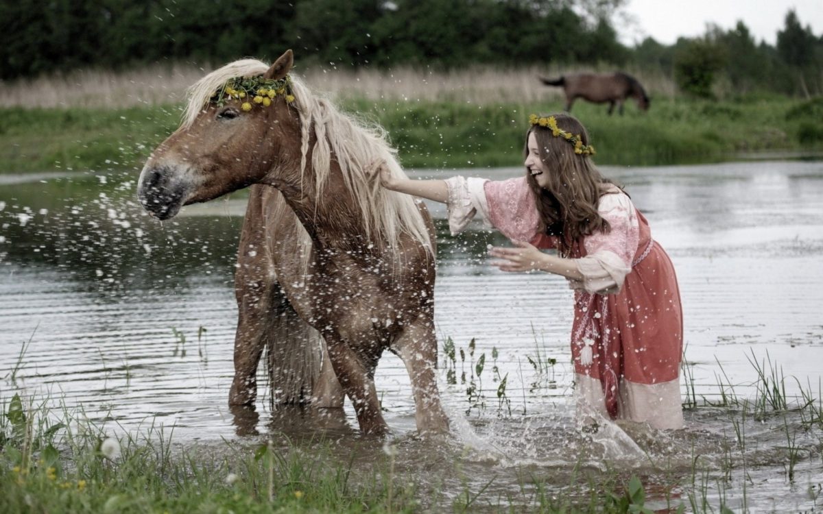 50+ Horse Screensavers and Wallpaper