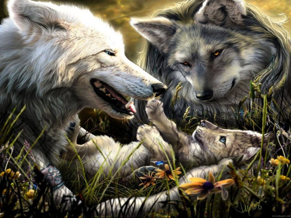 113+ Cool Wolf