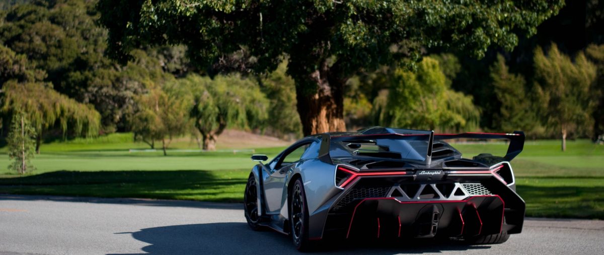 Wallpaper lamborghini, veneno, supercar, rear view, nature