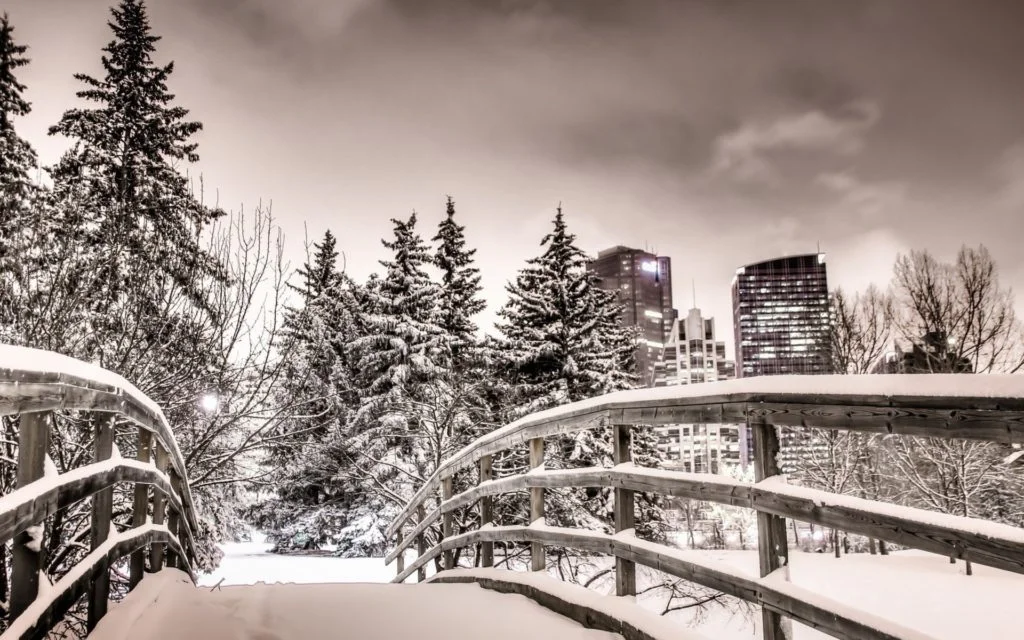 67+ Winter in the City