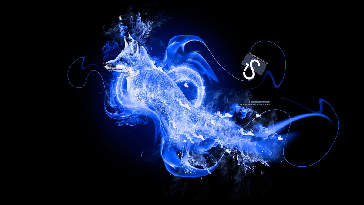 Blue Fire Fox Metamorphosis 2013 HD Wallpapers design