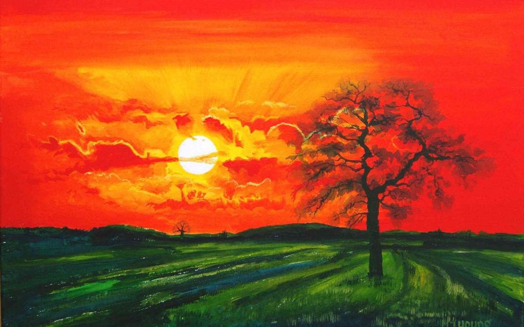 Red Sunset Tree Green Field wallpapers Red Sunset Tree