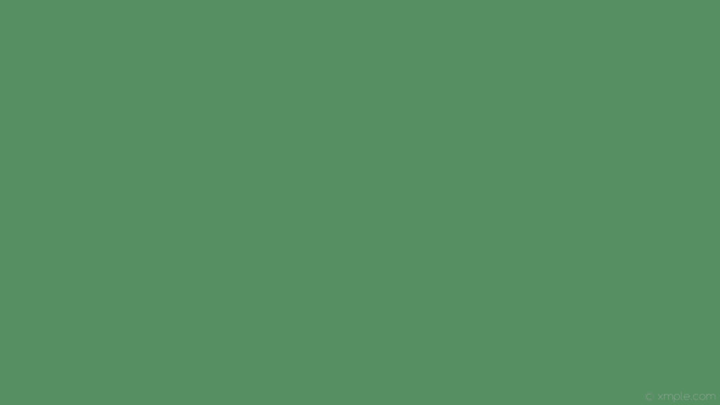 82+ Plain Color