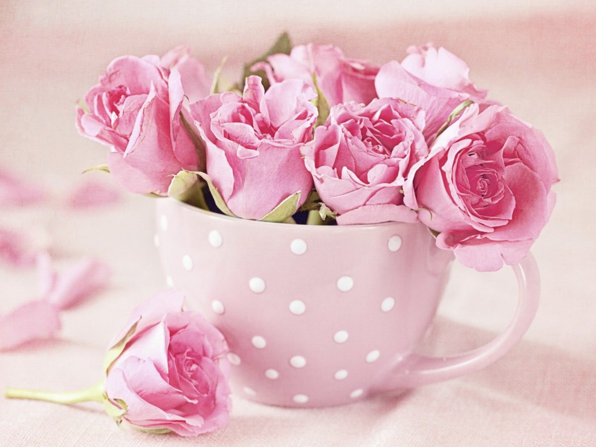 50+ Pink Wallpaper Blog