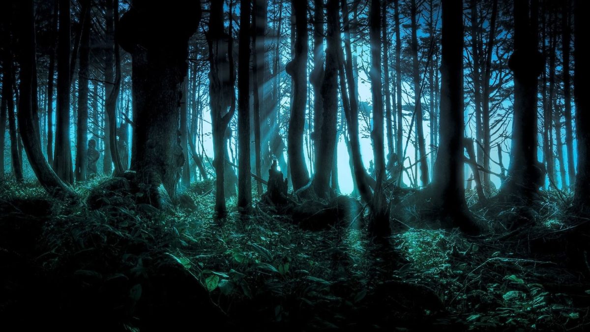 73+ Fantasy Forest Wallpaper HD