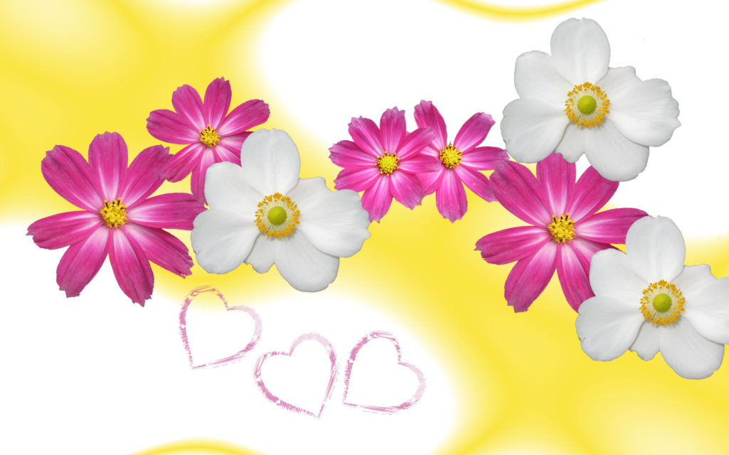 69+ Google Images Flowers