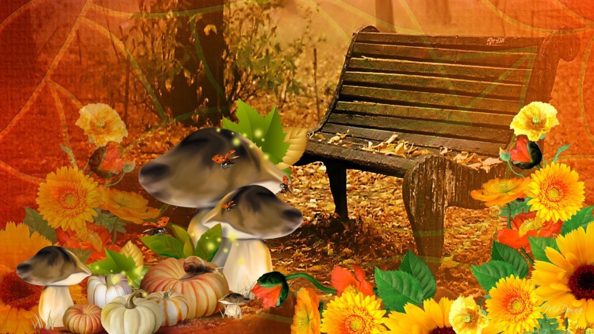 59+ Fall Pumpkin Wallpaper and Screensavers
