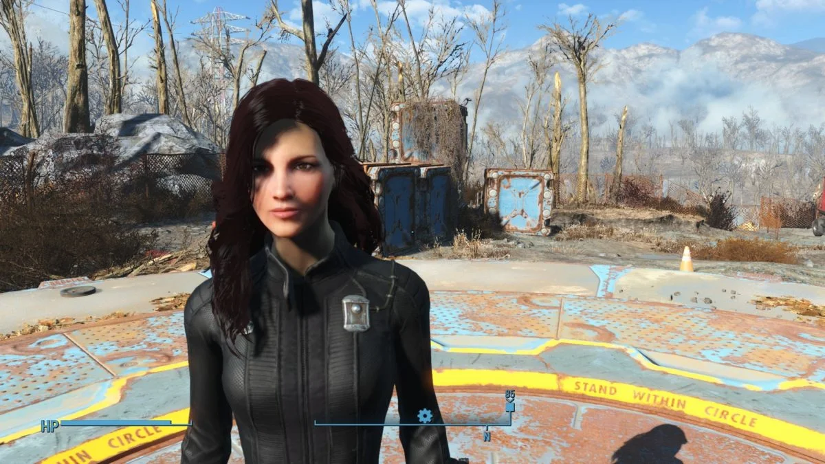 105+ Vault Girl Fallout