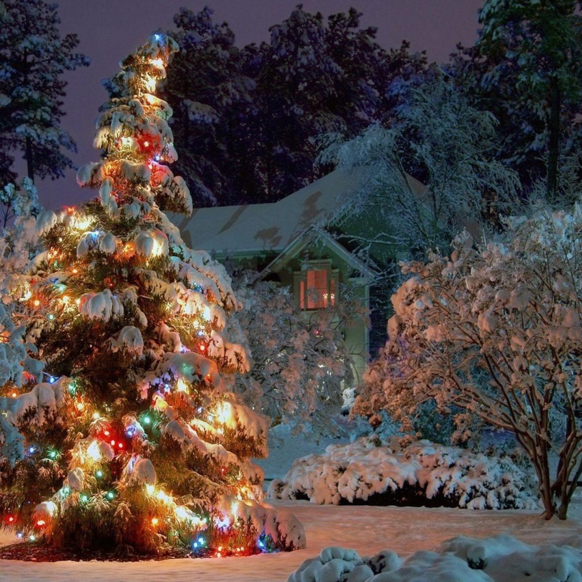 69+ Christmas Wallpapers and Screensavers