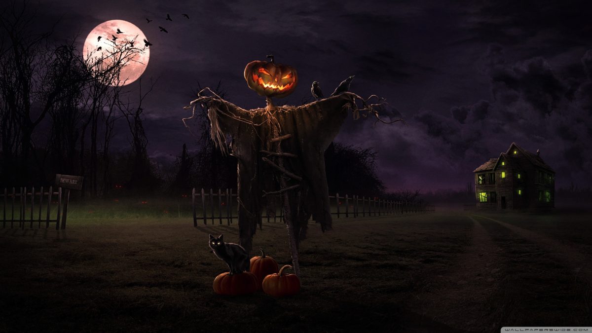 Spooky Path HD Wide Wallpaper for Widescreen