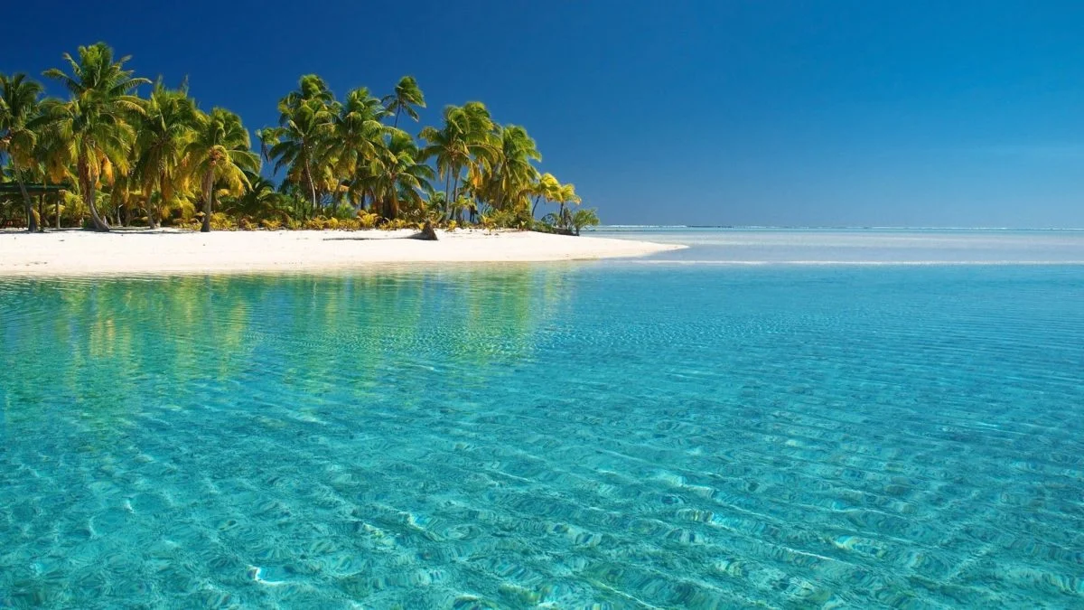 55+ Summer Wallpaper Screensavers