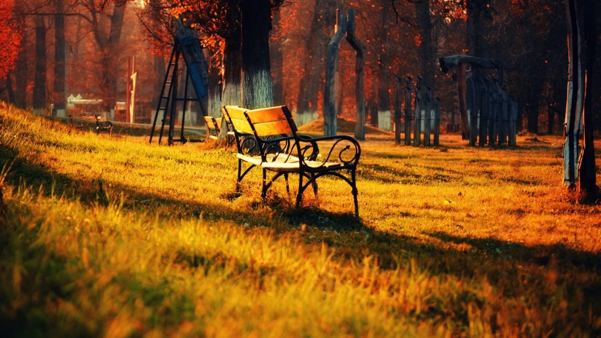 Park Trees Sunset Sunrise Bench Wallpaper Hd 1080p Nature Green – 1920×1080