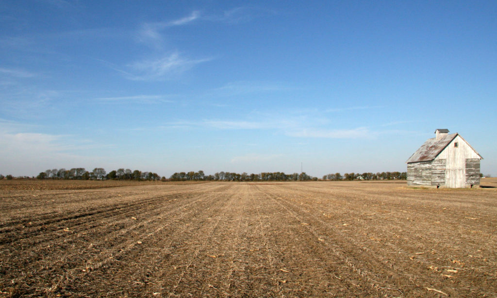 41+ Open Field