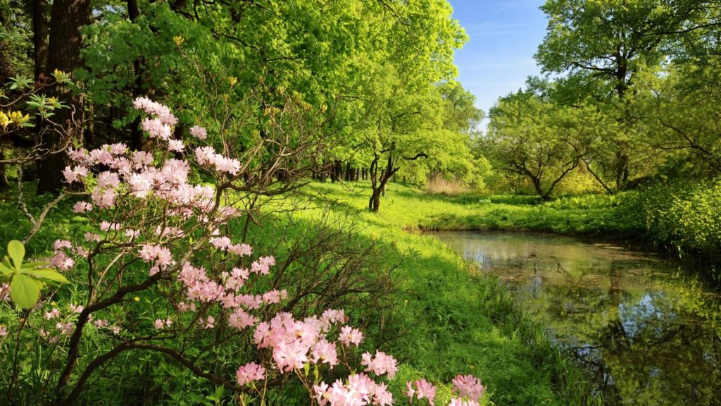51+ Spring Wallpaper and Screensavers