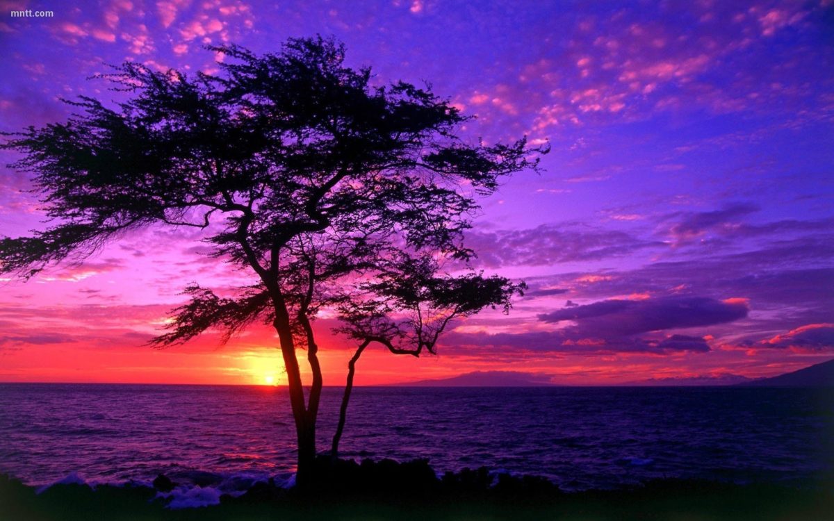 62+ Sunset Screensavers and Wallpaper