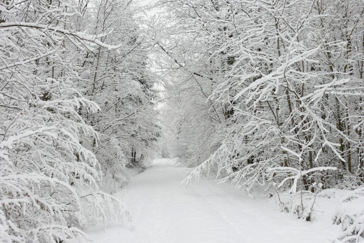 54+ Snow Screensavers and Wallpaper