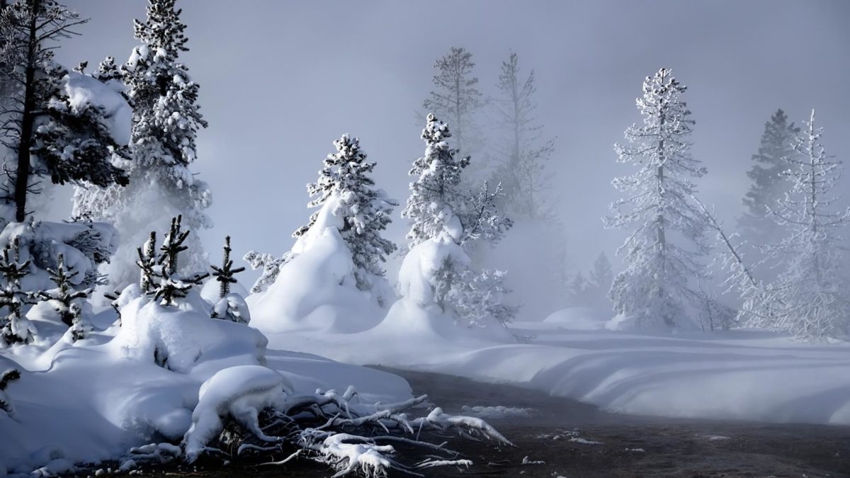 54+ Snow Screensavers and Wallpaper