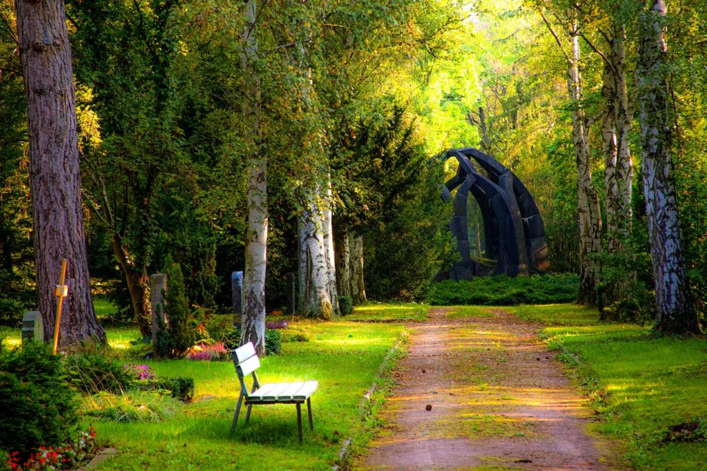 51+ Nature Scenes