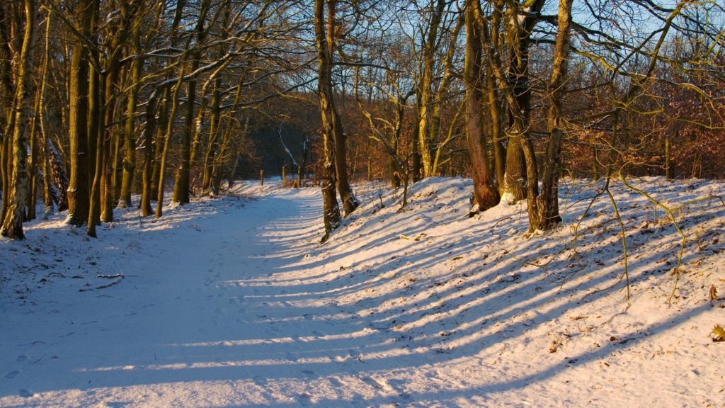 51+ Nature Scenes