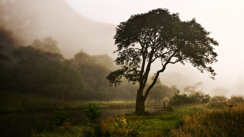 49+ Rain Storm Desktop