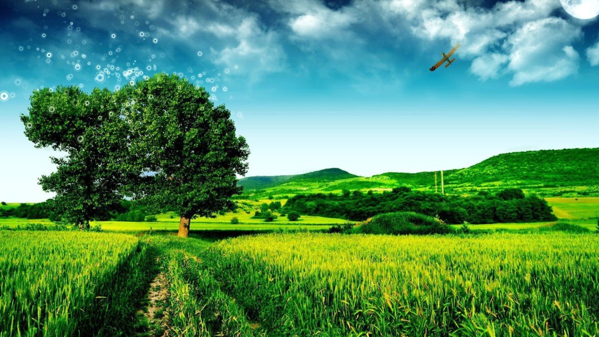 56+ Cool Landscape