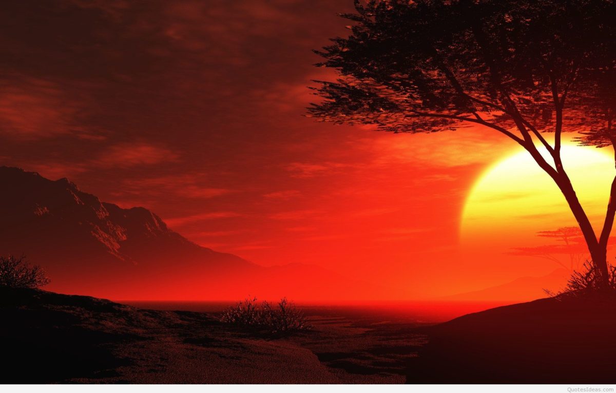 61+ Summer Sunset