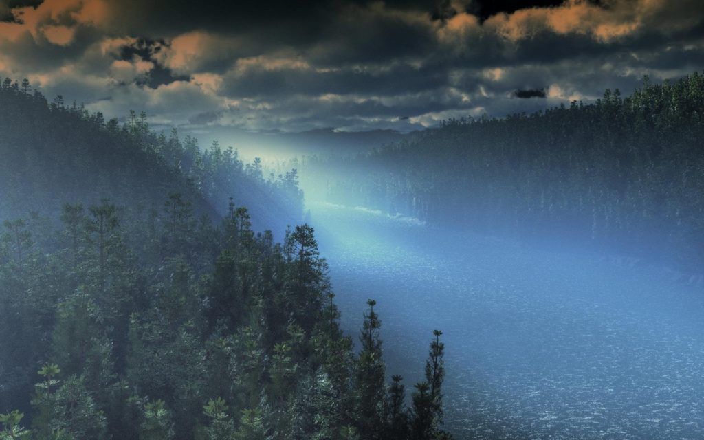 68+ Foggy Forest