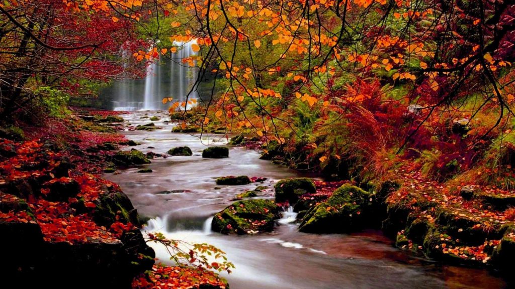 59+ Fall Screen Backgrounds