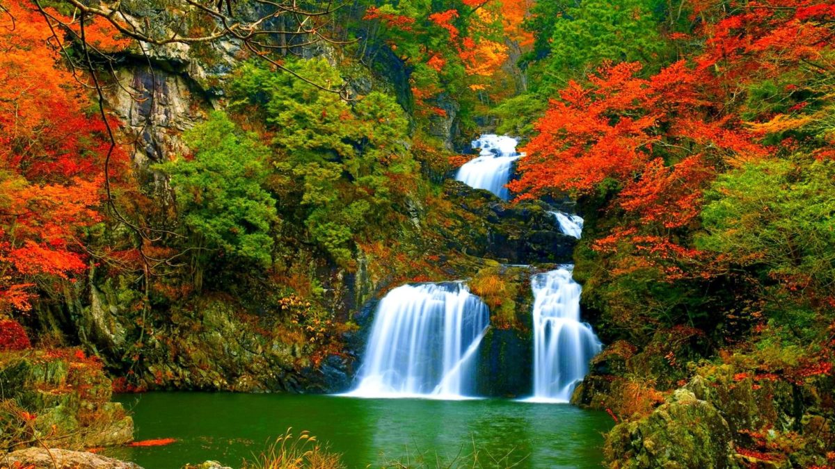 Falls Nature Waterfalls Forest Autumn Animated Waterfall Hd Wallpaper ...