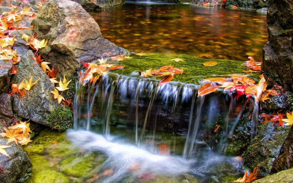 41+ Animated Waterfall Wallpaper with Sound