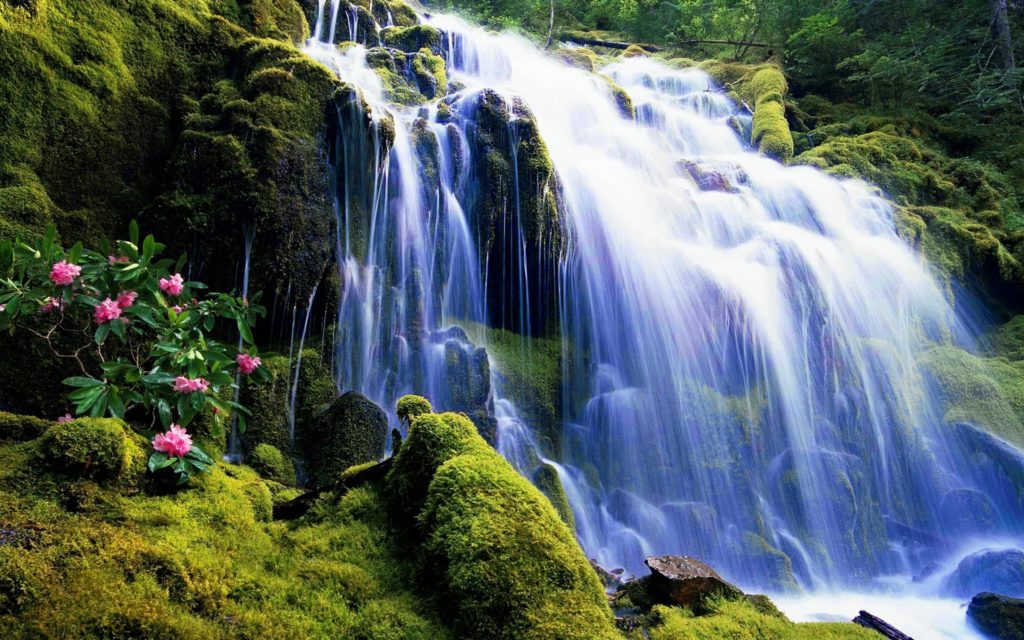 41+ Animated Waterfall Wallpaper with Sound