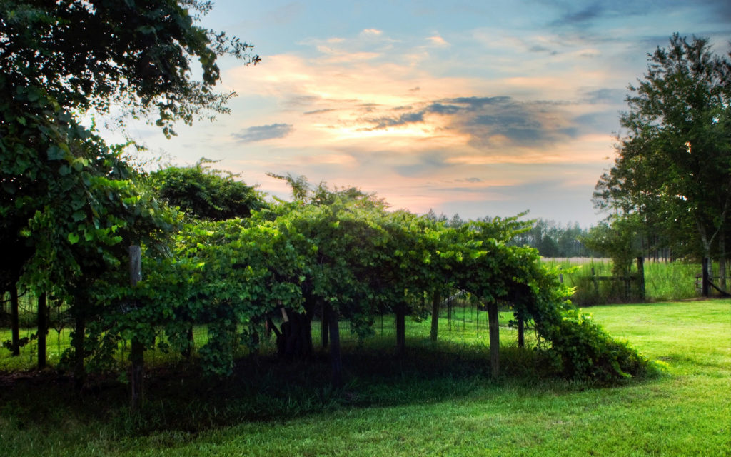 50+ Computer Wallpaper Nature Scenes