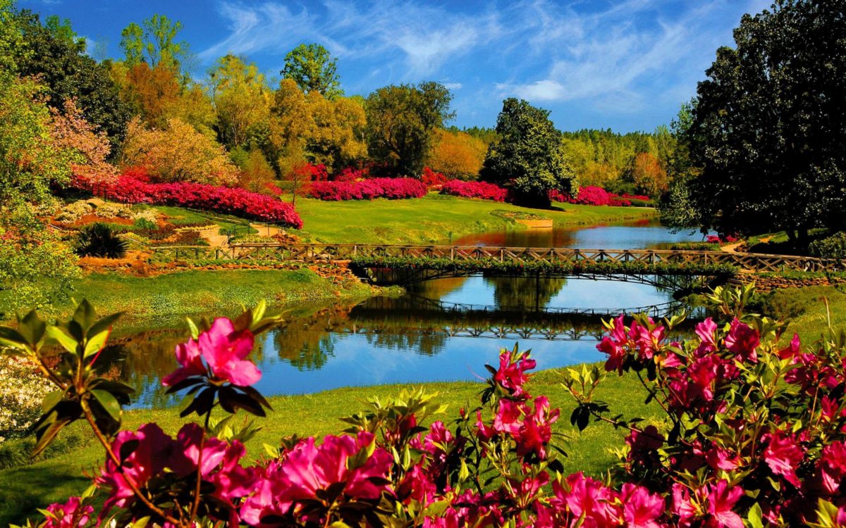 50+ Computer Wallpaper Nature Scenes