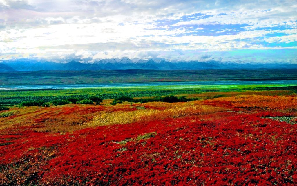 55+ Alaska Wallpaper Screensaver