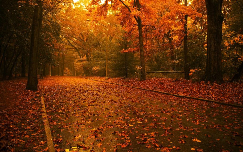 48+ Fall Screensavers and Wallpaper