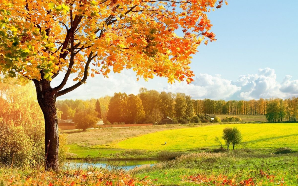 48+ Fall Screensavers and Wallpaper