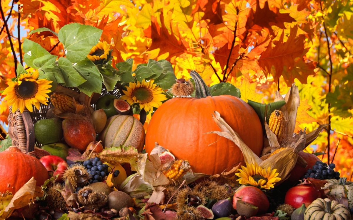 48+ Fall Screensavers and Wallpaper