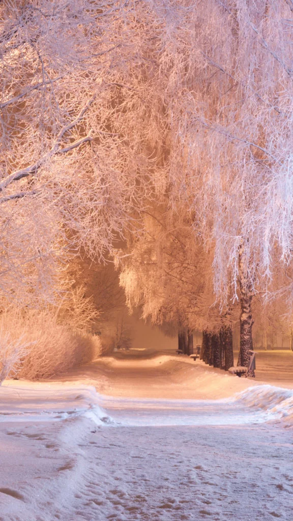 83+ Winter Wallpaper for iPhone