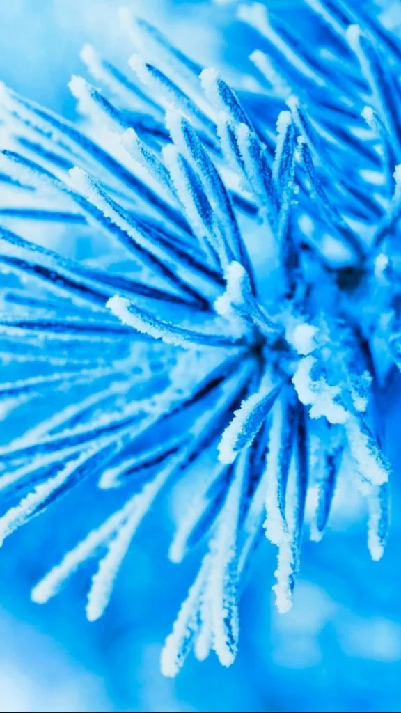 83+ Winter Wallpaper for iPhone