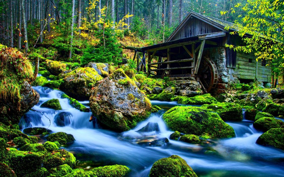 58+ Nature Wallpaper and Screensavers