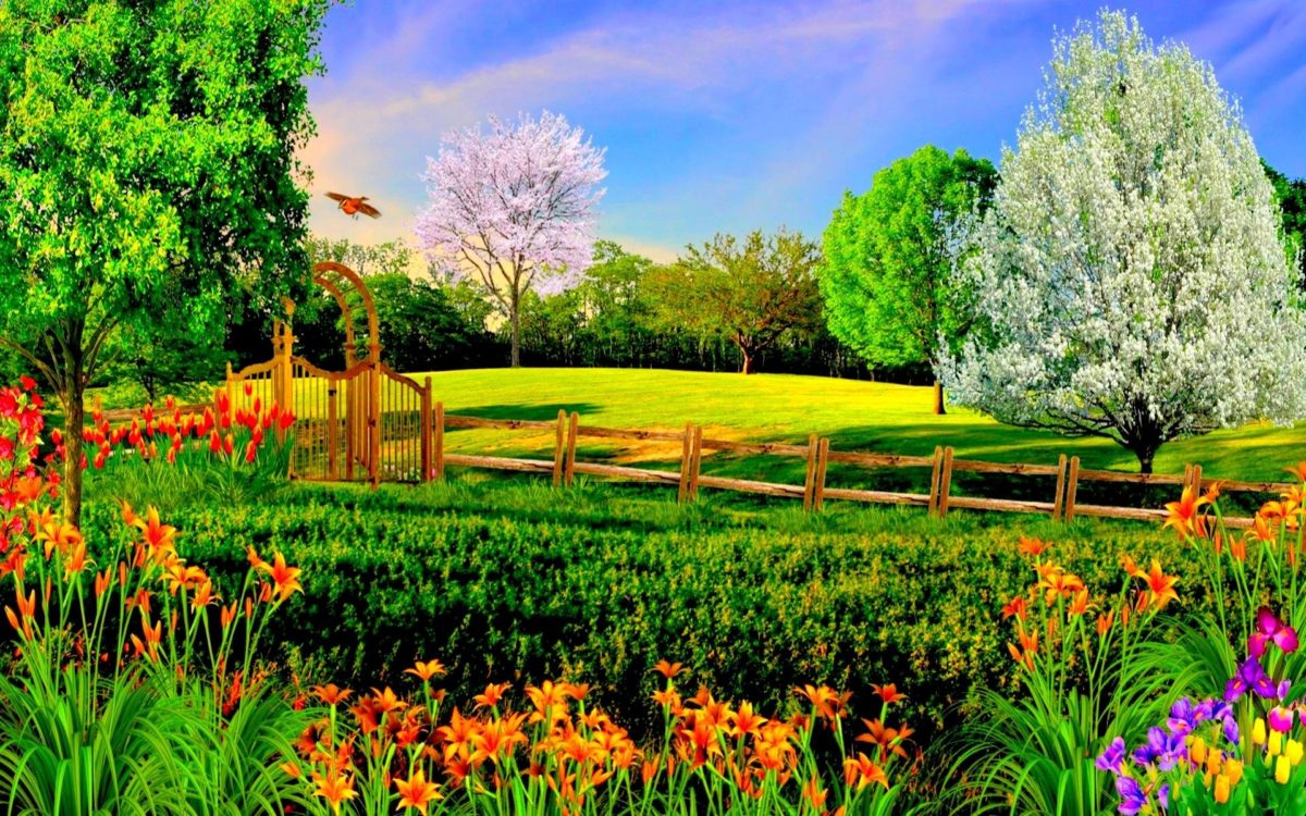 58+ Nature Wallpaper and Screensavers