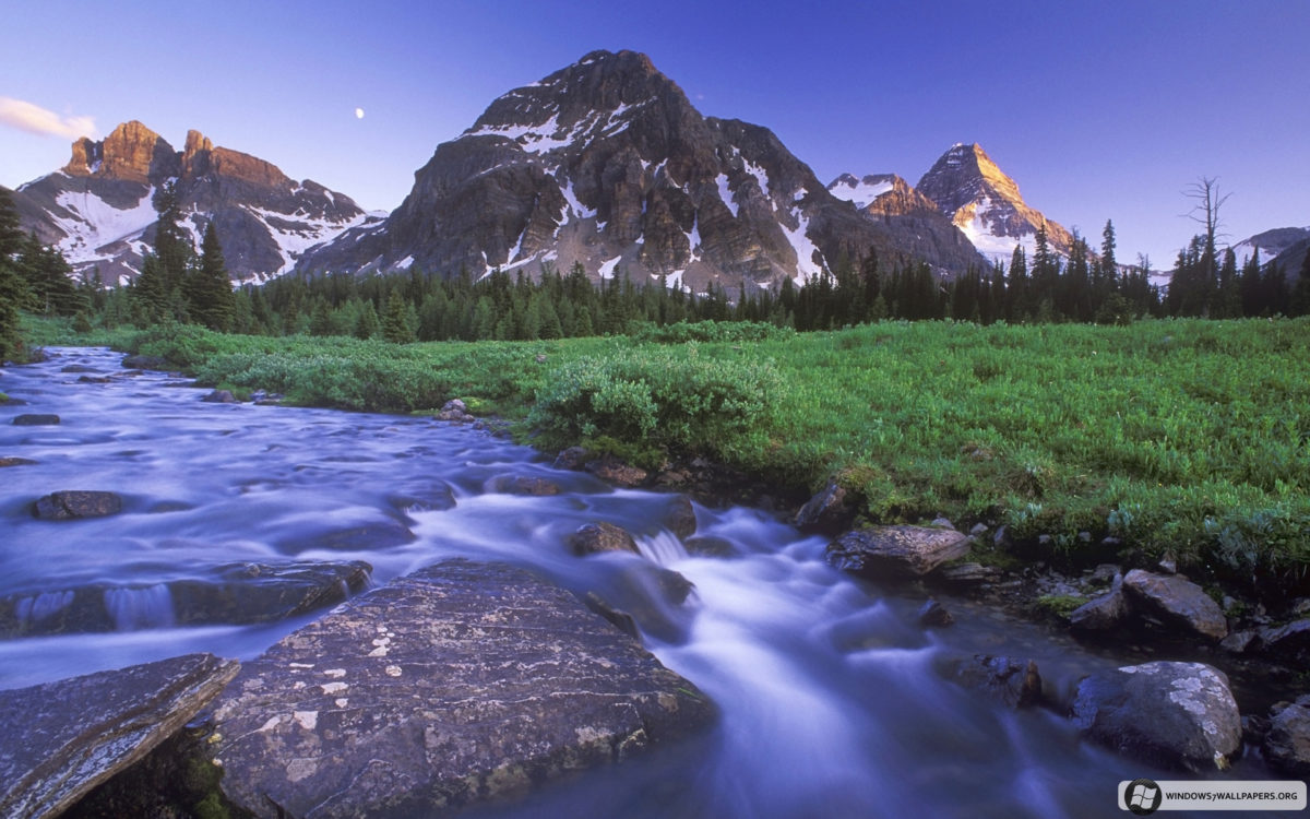 58+ Nature Wallpaper and Screensavers