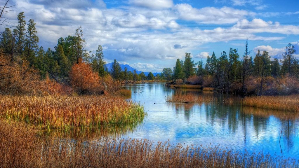 35+ January Wallpaper Sceneries